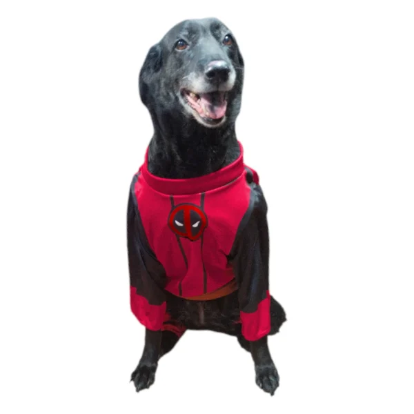 Disfraz de DeadPool – DogPool fucsia para hembra – Tienda Maskotikas